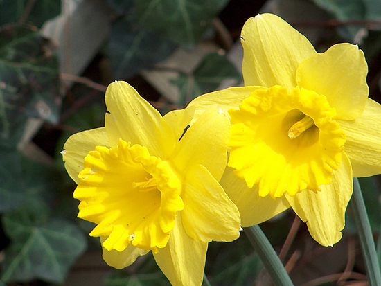 Spring | Reflections by the Sea