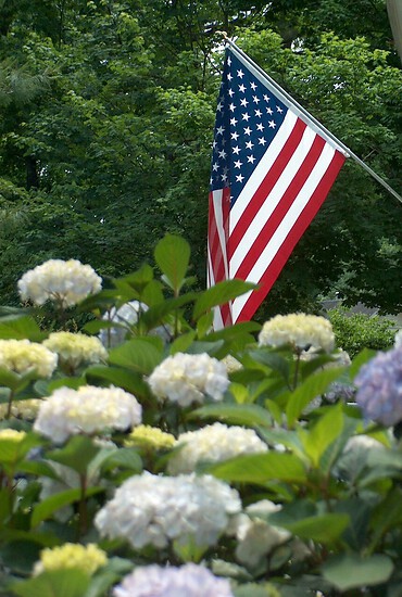 Remembering What Matters - May 25 | Reflections by the Sea