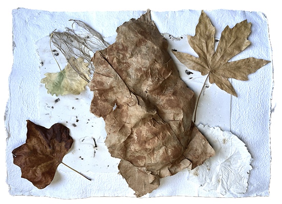 Ephemeral Paper | Patricia Larenas - Blog