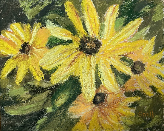 90 Daisy | Roger Snell - Blog