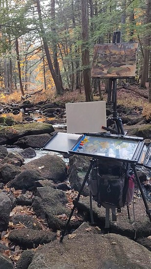 When Things Get Murky | Jennifer Sampson - Blog