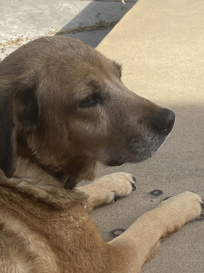 November 24 The List | Teri Gergen - Blog