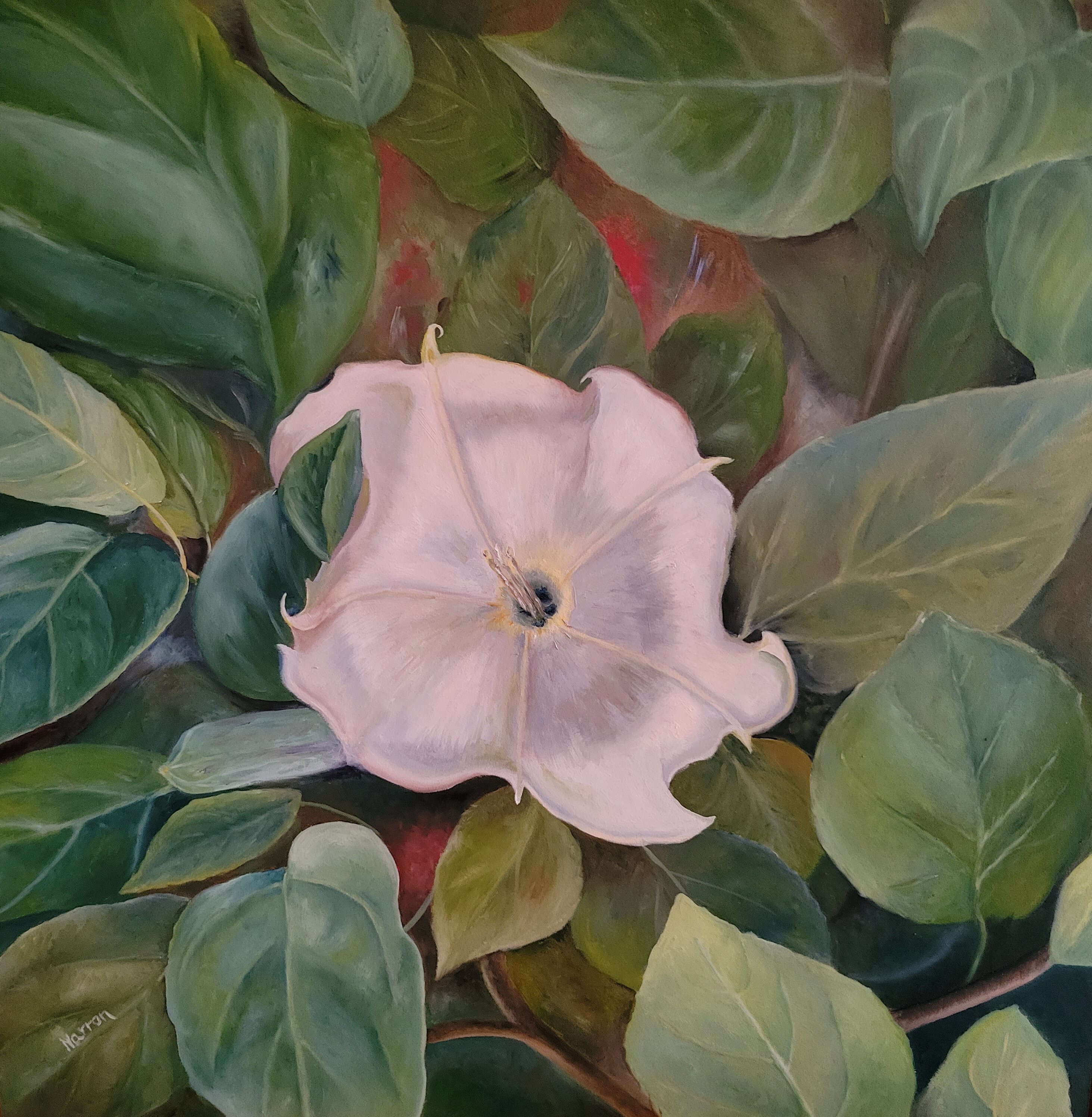 My Lastest Painting of Jimson Weed | Jo Narron - Blog