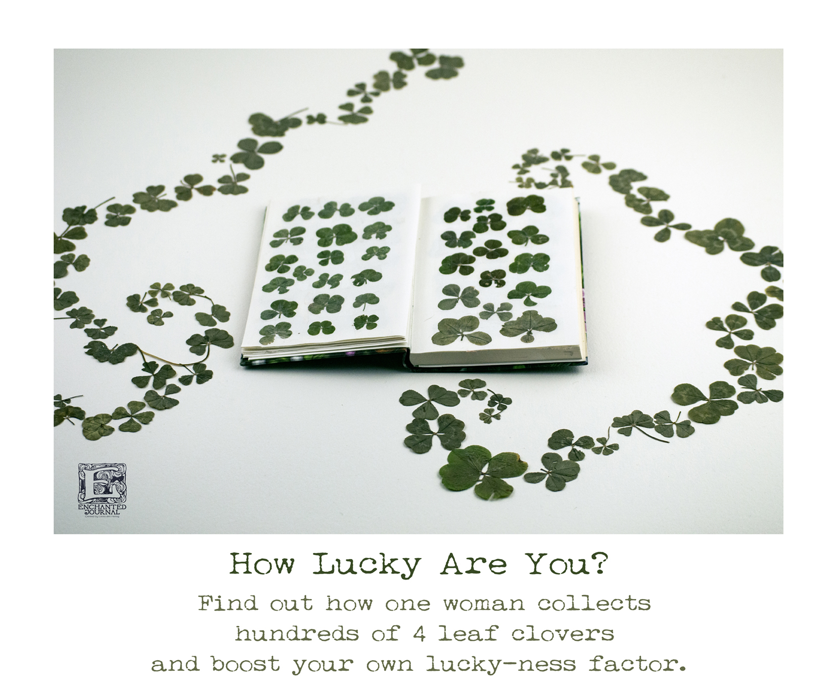 How Lucky Are You? | The Enchanted Journal