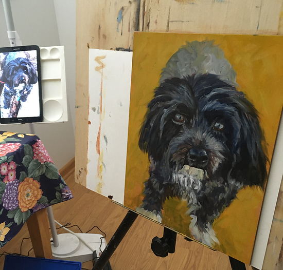 Commission information | Photo and pricing