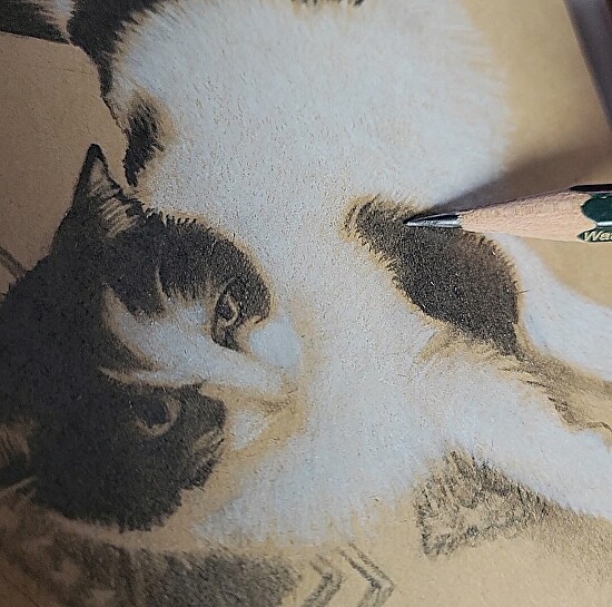 Oreo Drawing in progress | John Murdoch - Blog