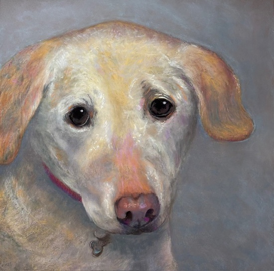 Attachments | Lisa Rutledge - Blog