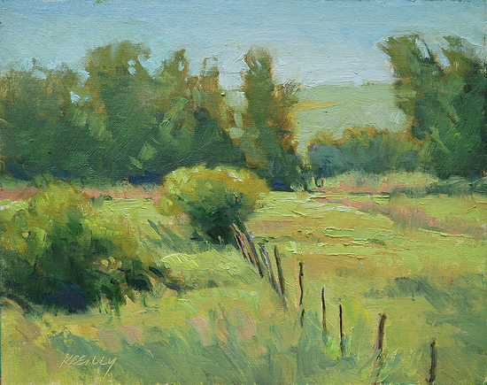 Boulder Park Paintings. | KATH REILLY ART