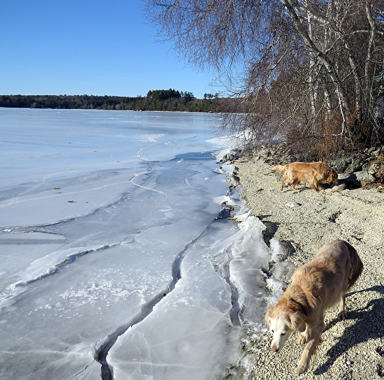 January 28, 2013 Winter in Maine Photos! | Plein Aire in Maine