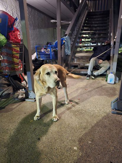 March 13, 2024 Made it To Mt. Laurel, NJ. Met Homeless Couple With ...