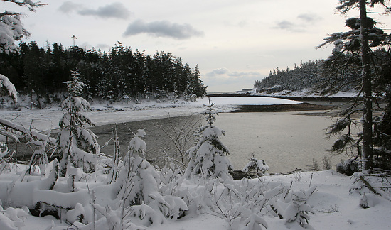 February 13, 2012 A New Commission Winter Snow Scene! | Plein Aire in Maine