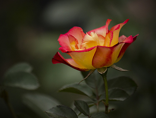 Fine Art Photography Art Exhibit: The Beauty in and Around New Mexico ...