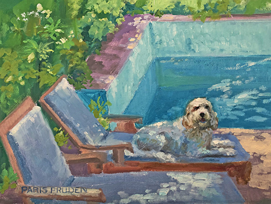 Tilly at the Pool | Welcome!