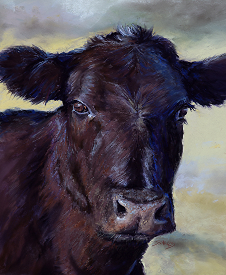 Bosque Art Classic | Sarah Harless - Blog