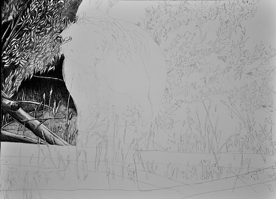 Griz Drawing Chronicles #2 - Reliving The Wilderness Through Art ...