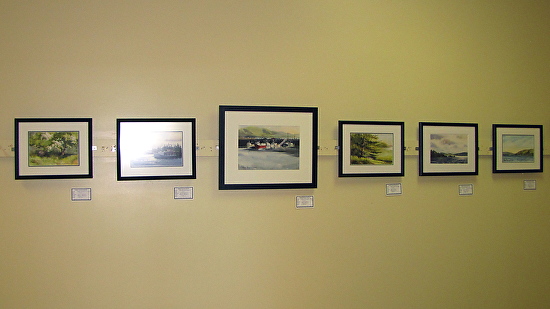 A Mini-Exhibit at Digby General Hospital | Paintings by Poppy