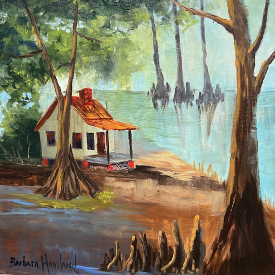Echoes of Cajun Life, Bayou collection | Barbara Haviland - Blog