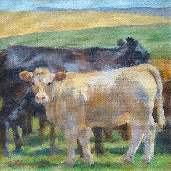 Painting a Cream-colored Calf | Trish Stevenson - Blog