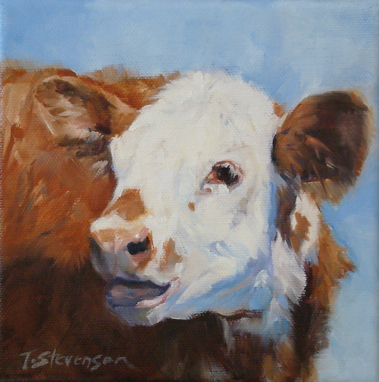 Brockle-Face Calf | Trish Stevenson - Blog