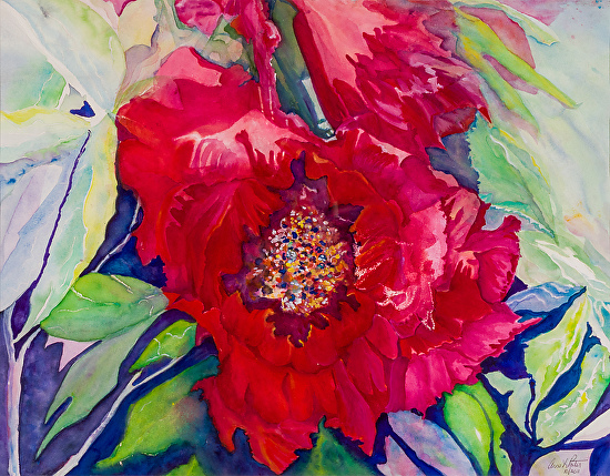 double peony, watercolor by Anna Porter Artist is on display at The ...