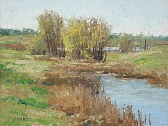 An Interview With Nature | Keith Bond - Blog