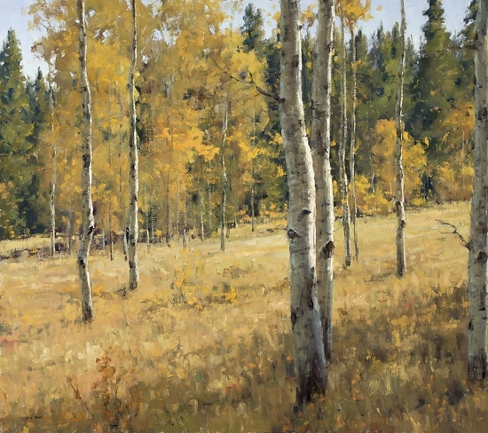 Bidding Opportunity | Keith Bond - Blog