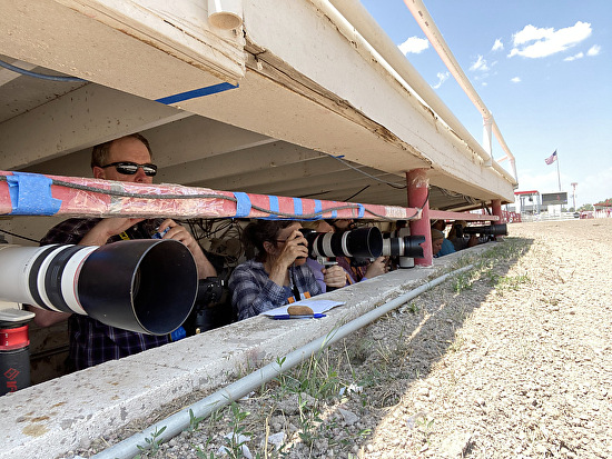 Cheyenne Frontier Days 2021 | julie bender - Blog