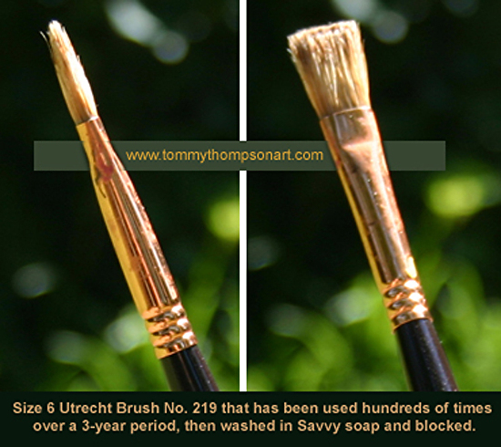 Cleaning and Storage of Brushes | Tommy Thompson - Blog