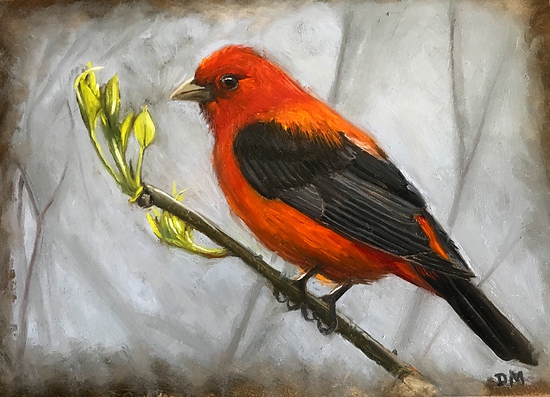 Gem of the Northeast | Denise Monaghan - Blog