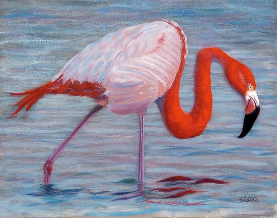 Fred the Focused Flamingo | Robert Sesco - Blog