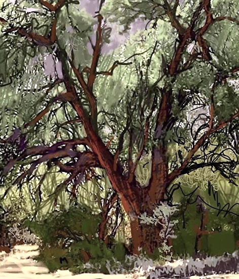 How To Paint Realistic Trees - Structure | Lori Woodward Blog
