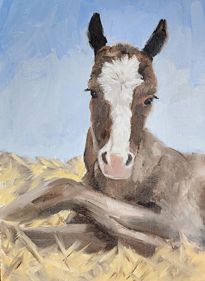 Painting a day in October #9 Baby anything is cute! Colt Portrait | A ...