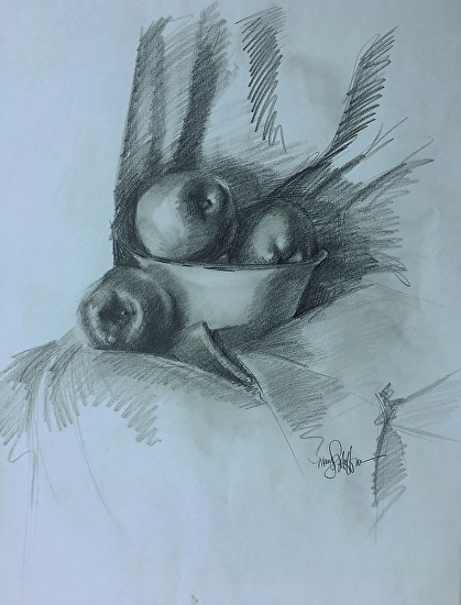 Drawing Realistically by Seeing Abstractly?? | Mary Hoffman - Blog