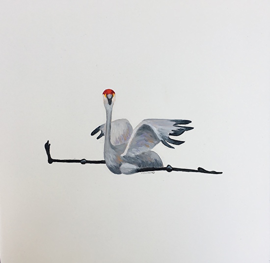 Introducing Sandy Crane | Paula Warner - Blog