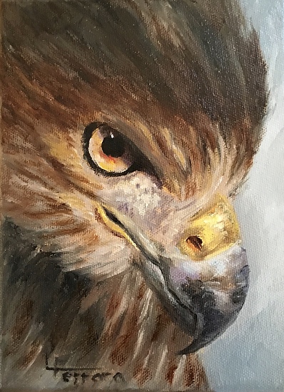 Hawkeye 61 Project | Lina Ferrara - Blog