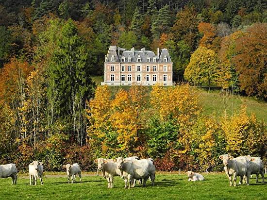 An Excellent Year... | Trish Land - Blog