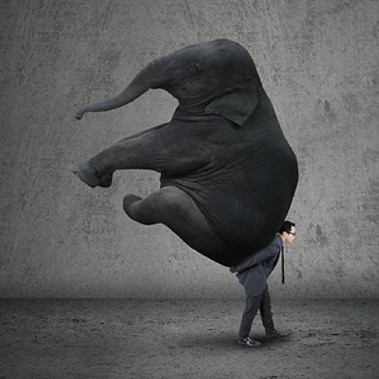 How do you eat an Elephant? One bite at a time. | The Journey