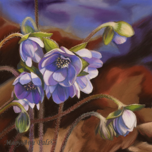 Comparing Devices, and TMI | Mary Ann Pals - Blog