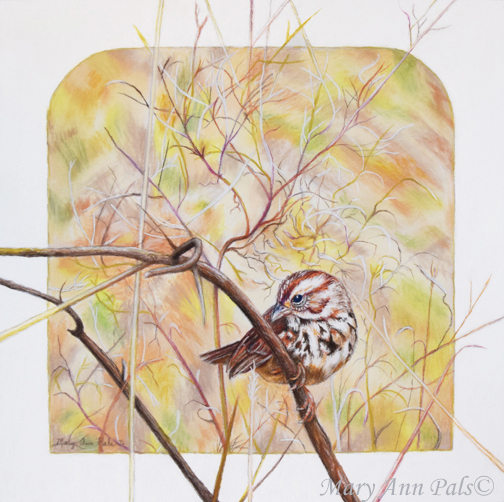 Stretching Boundaries | Mary Ann Pals - Blog