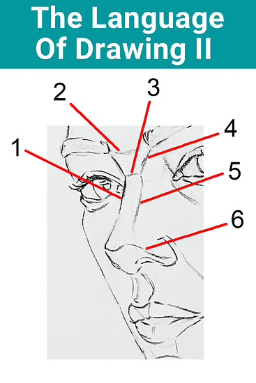 The Language of Drawing II | Clive Bryant - Blog