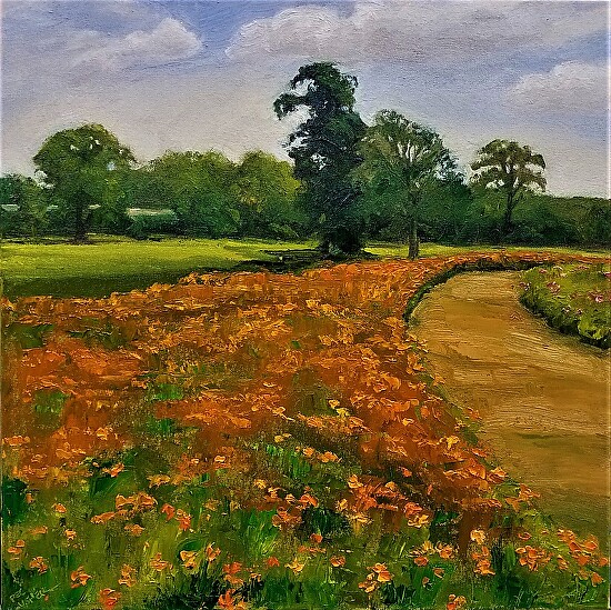 Peg's Perspectives #14 Wildflowers Meadow | Peg Usner - Blog