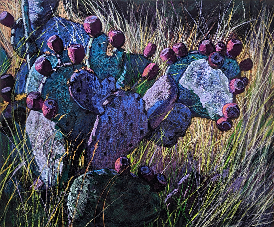 Winter's Light | Nancy Lilly - Blog
