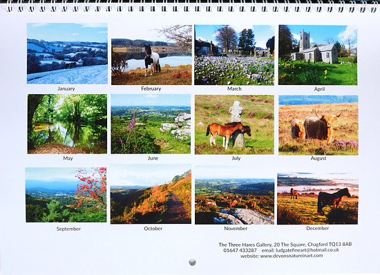 2025 Chagford & Dartmoor Calendars | devon's nature in art - Blog