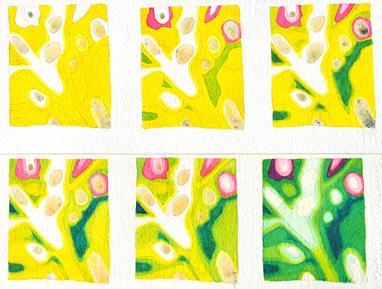 Staggered Stop | Elizabeth Kincaid - Blog