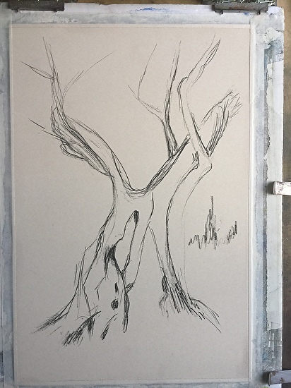 Dancing Olive Trees | Joycelyn Schedler - Blog