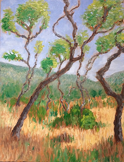 Firsts, Beginnings, and the Magic of Learning | Robin Barber - Blog