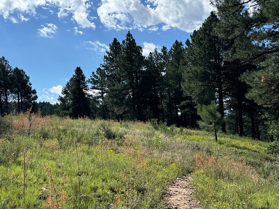 Take a Hike-Highland Trail | Dawn Sutherland - Blog