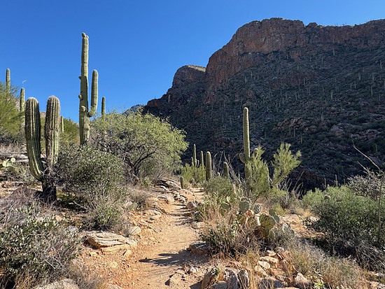 Take a Hike-Pima Canyon | Dawn Sutherland - Blog