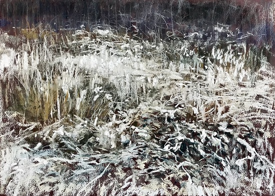 New Work- Capturing Snowfall | Fiona Carvell - Blog