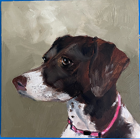 Pet Portraits | Judy Mackey - Blog